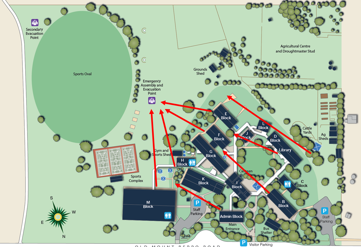 2024 General Enrolments